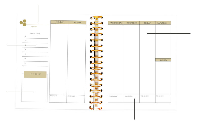 Pink and Gold Goal Planner - Revise and Co